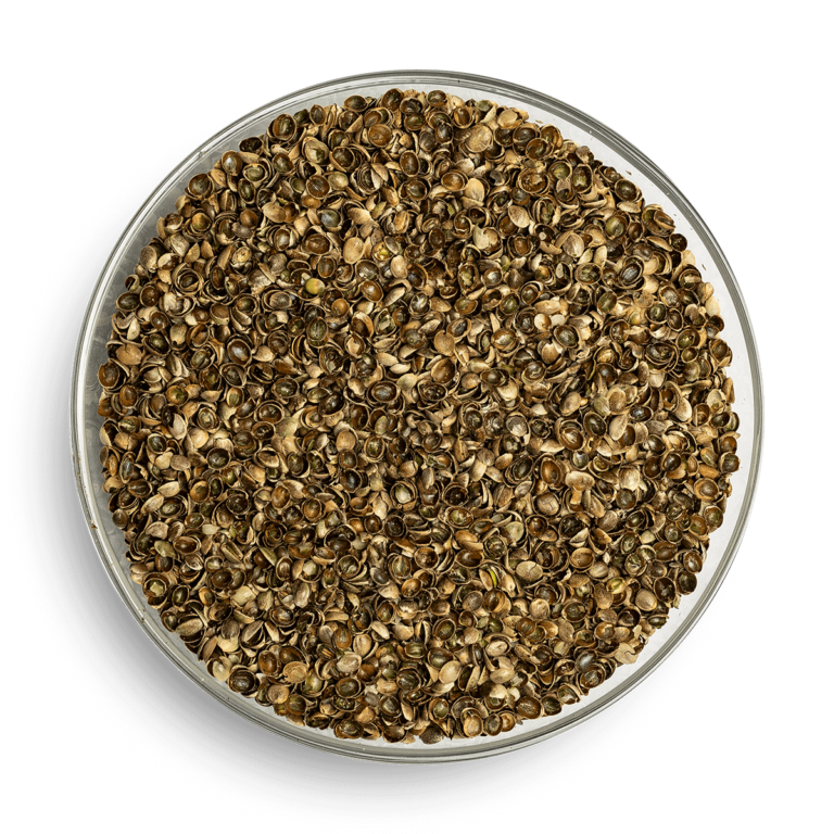 Nordic Hemp Cooperation - The biggest hemp producer in EU